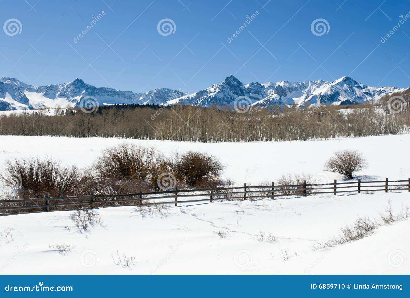 Dallas Divide in Winter stock photo. Image of winter, white - 6859710