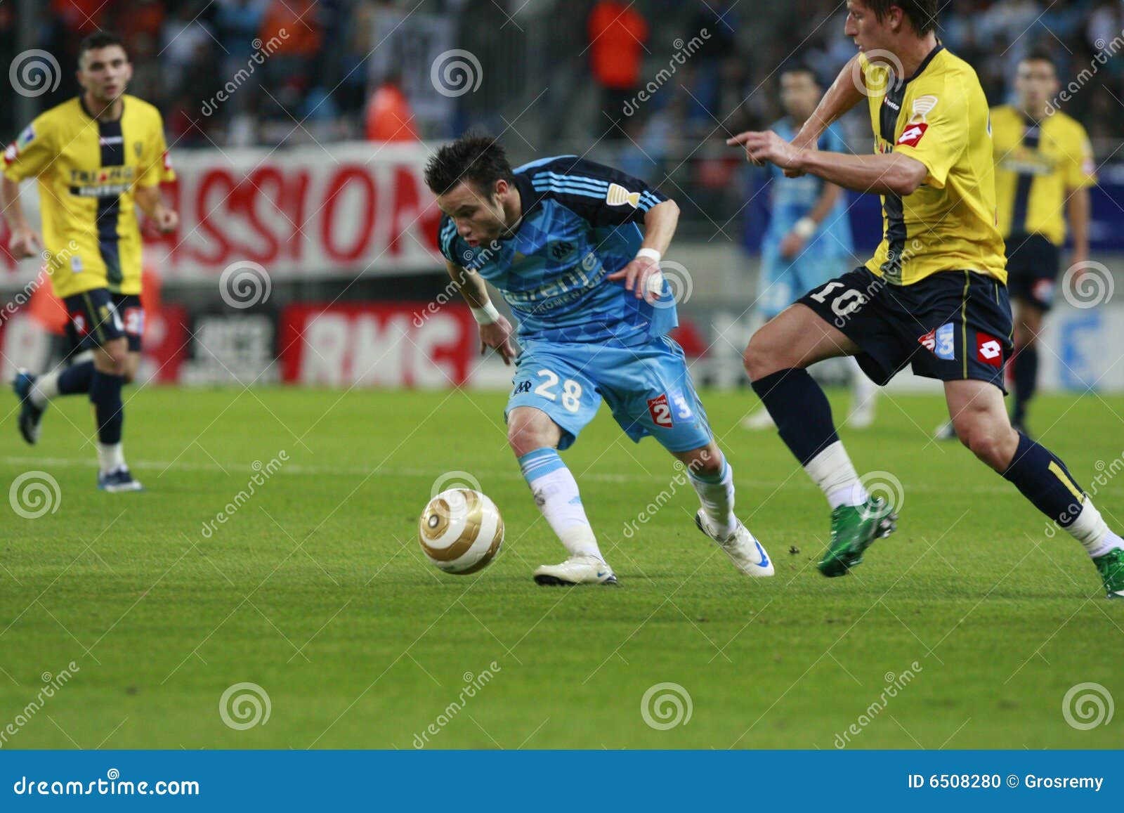 Dalmat editorial image. Image of 2008, championnat, bonal - 6508280