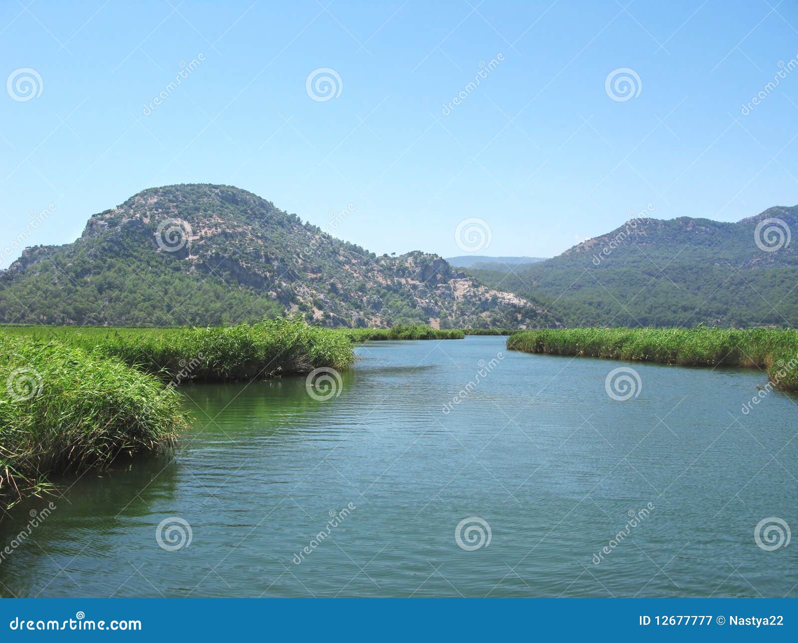 Dalyan river in turkey stock image. Image of dalyan, shore - 12677777