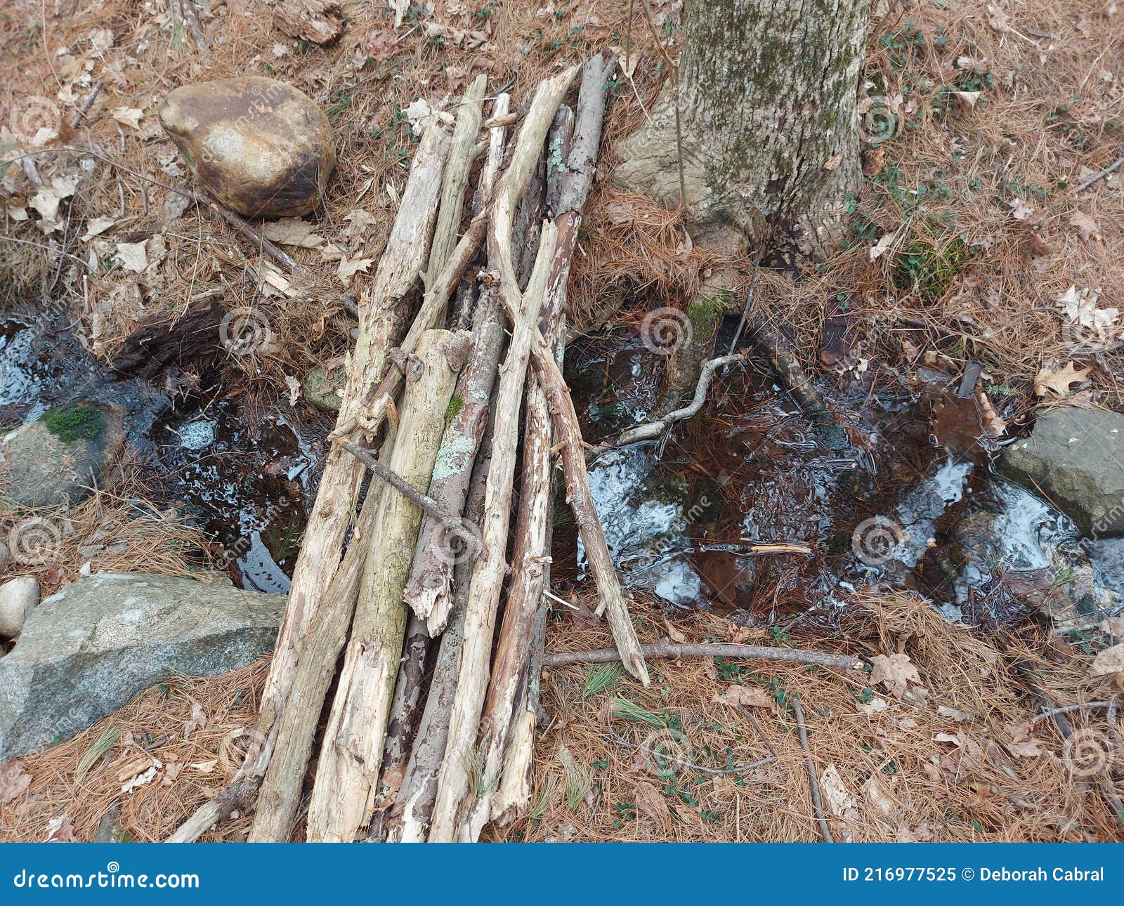 A Dam Built Over a Stream of Water at the Lynn Reservation Stock Image ...