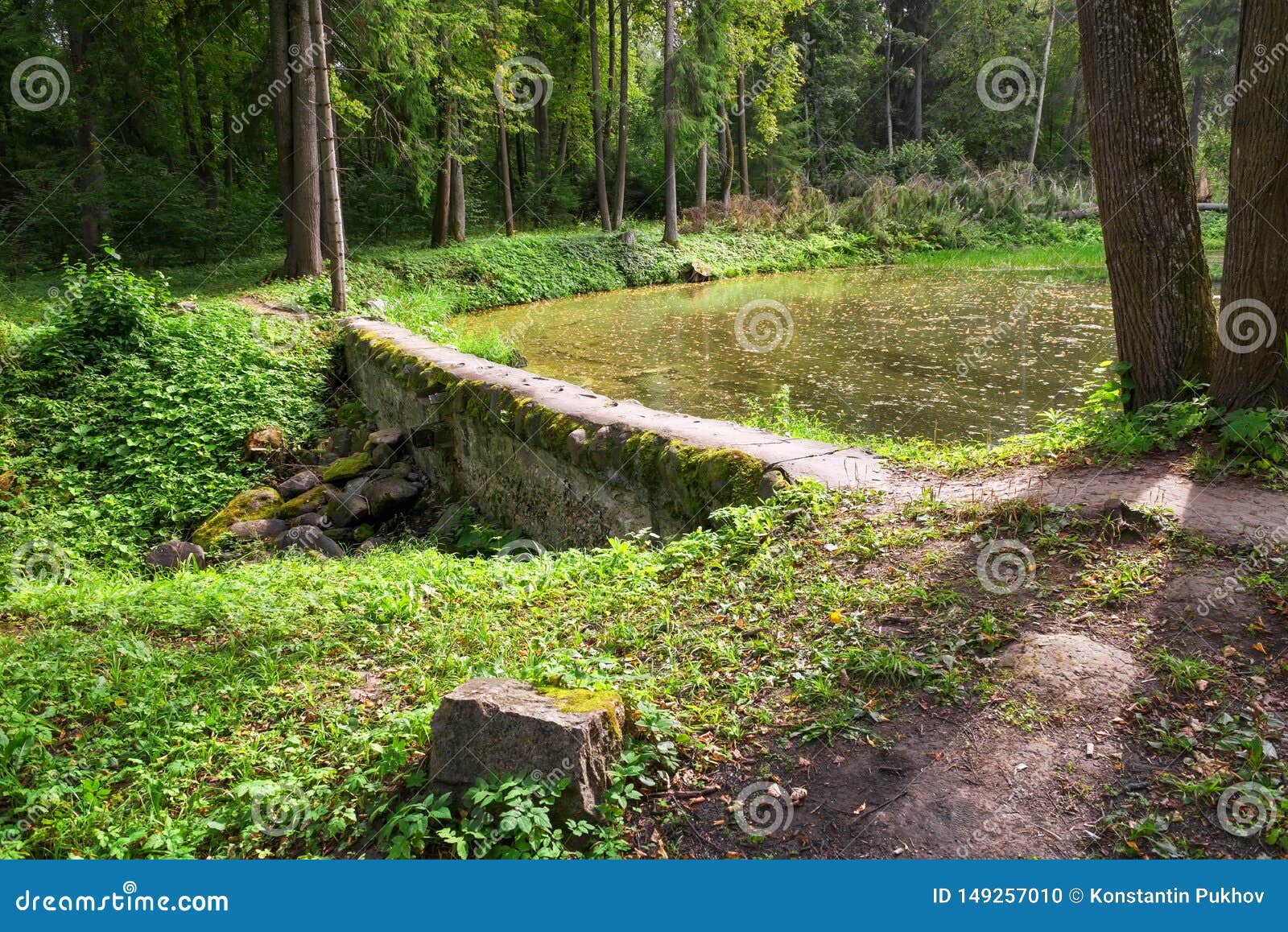 Dam for forest lake stock photo. Image of color, lock - 149257010