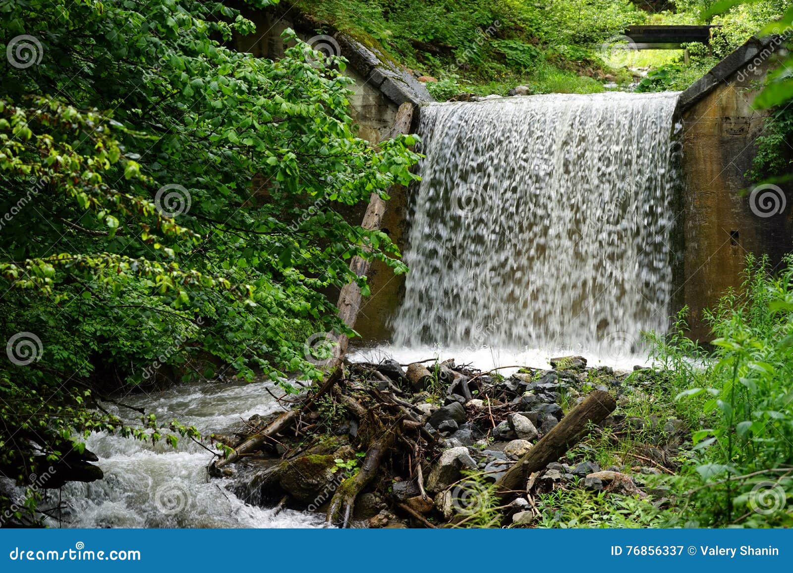 Dam and forest stock image. Image of mountain, leaves - 76856337