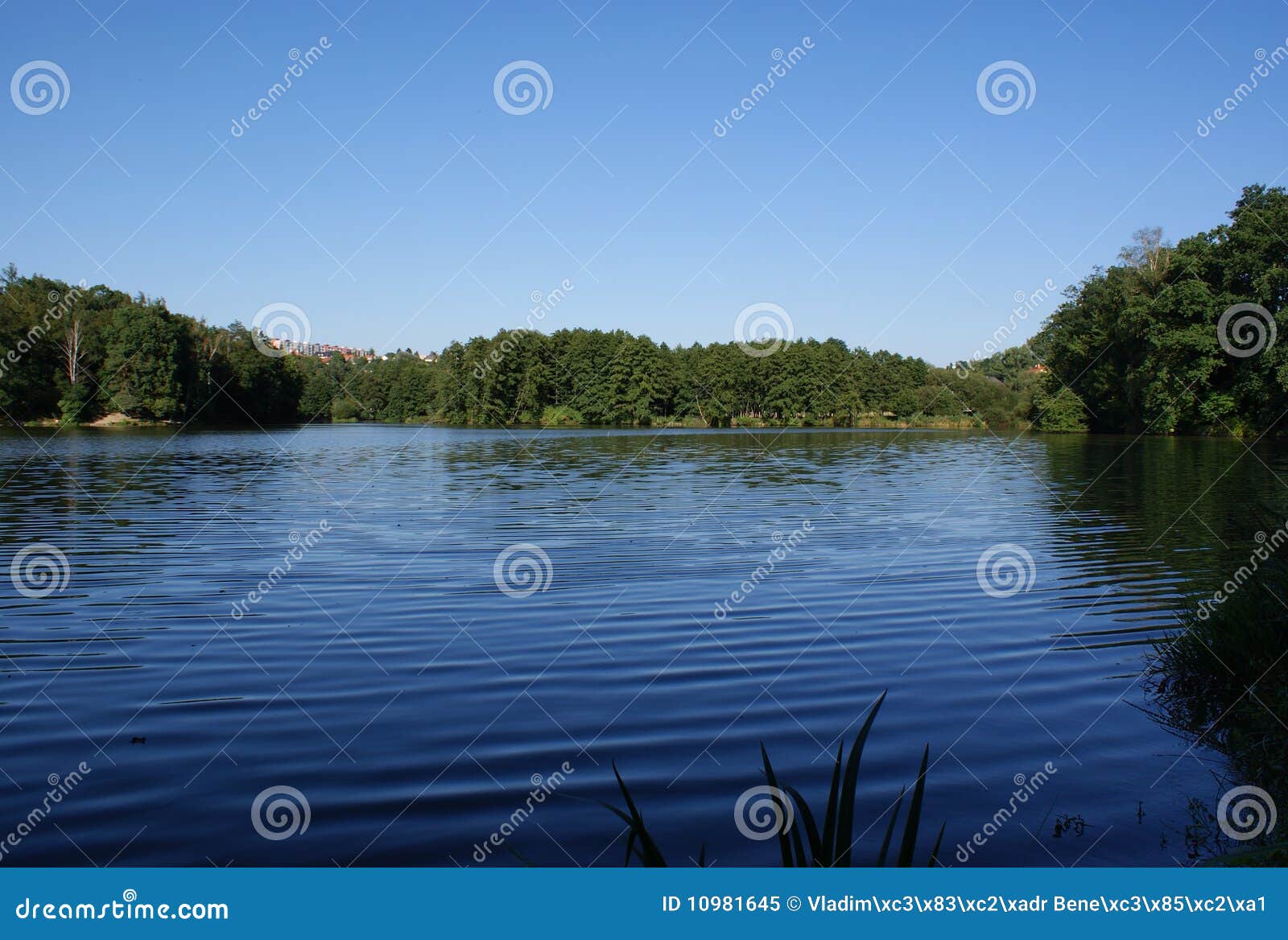 Dam Hostivar in Prague stock image. Image of beauty, tree - 10981645