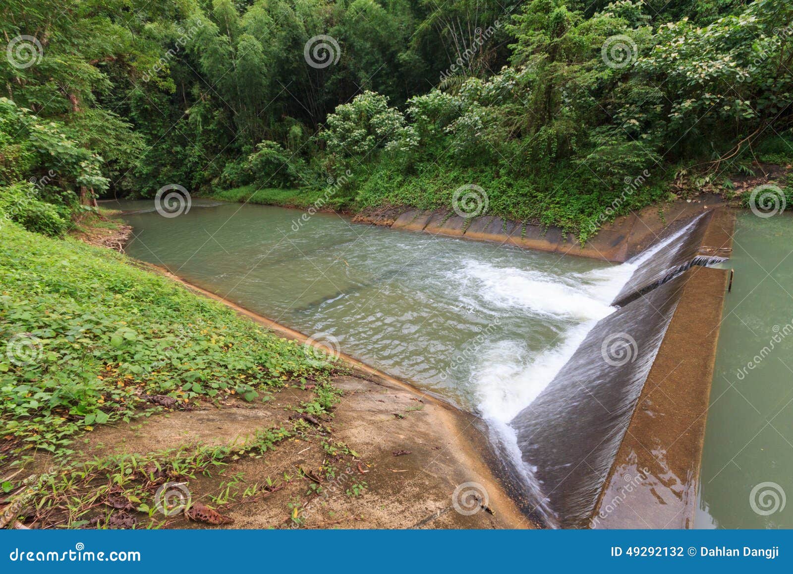 Dam in nature stock photo. Image of forest, agriculturist - 49292132