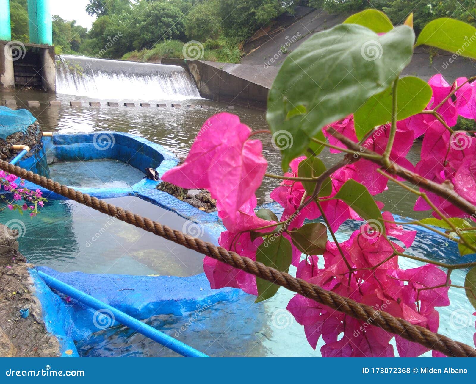 Buguey Stock Photos - Free & Royalty-Free Stock Photos from Dreamstime