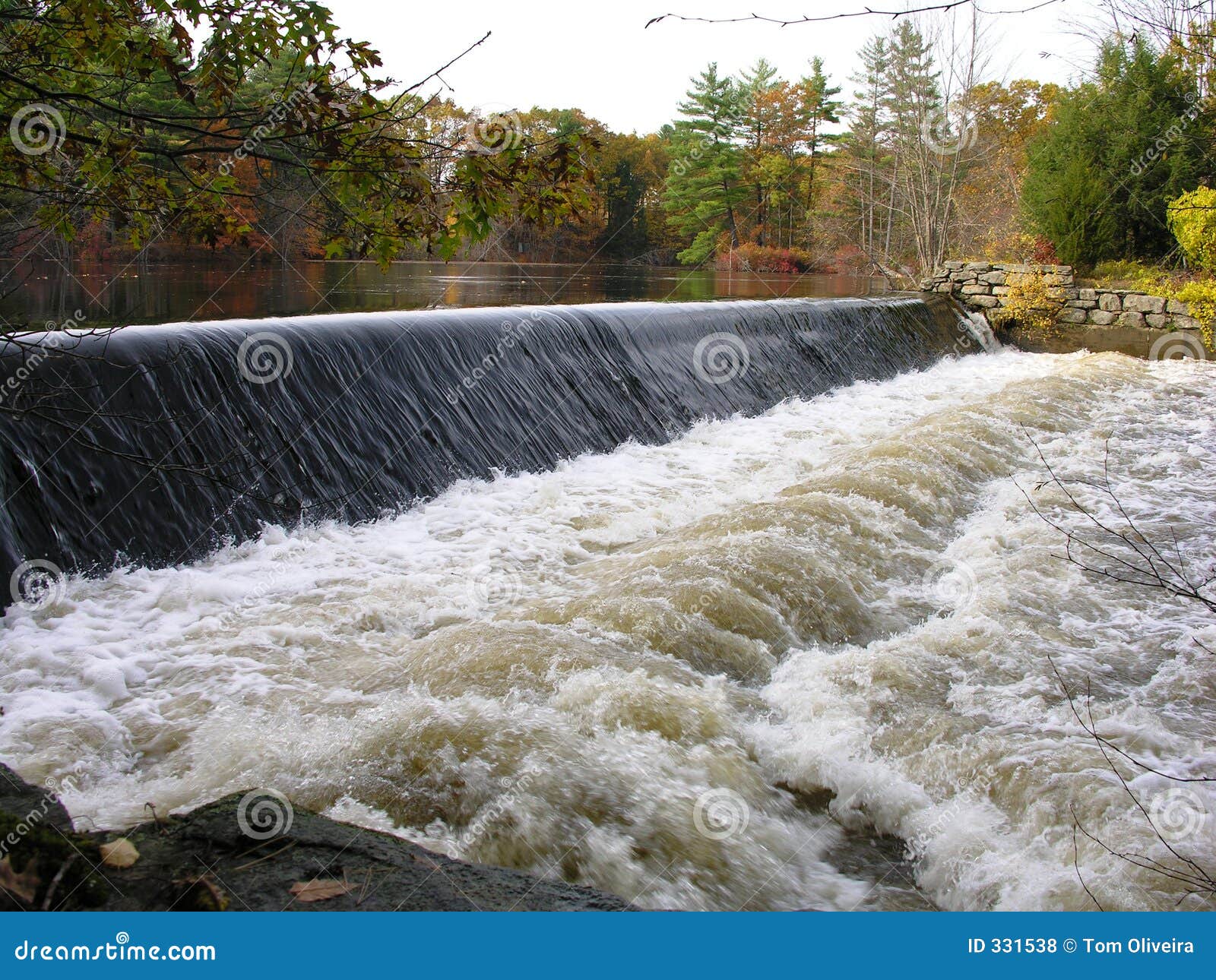 Dam on the river. stock photo. Image of plants, england - 331538