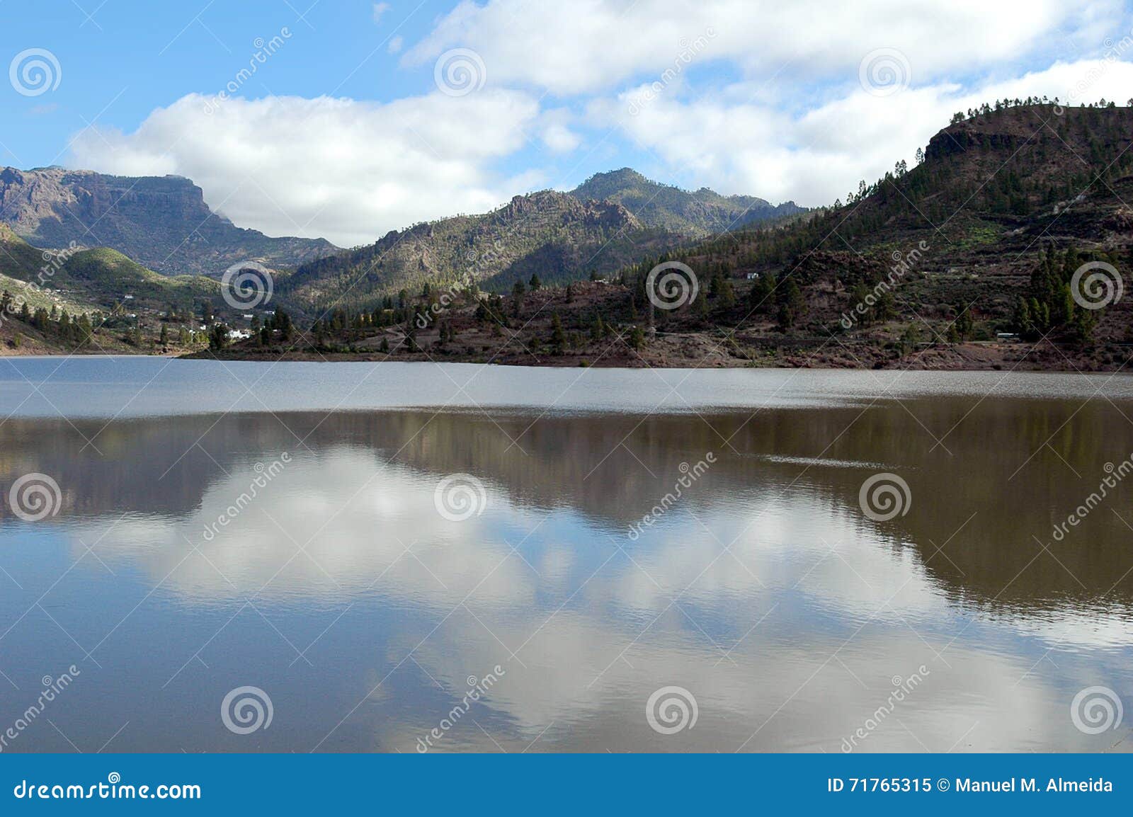 Dam stock image. Image of country, plants, colors, canary - 71765315
