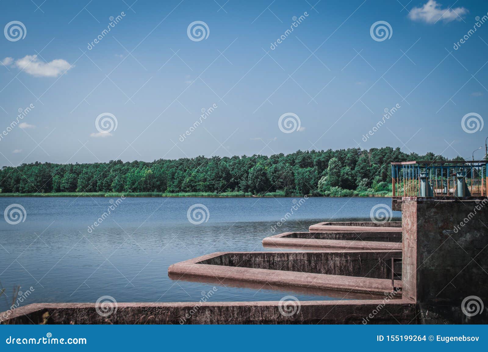 Dam - side view stock photo. Image of forest, summer - 155199264