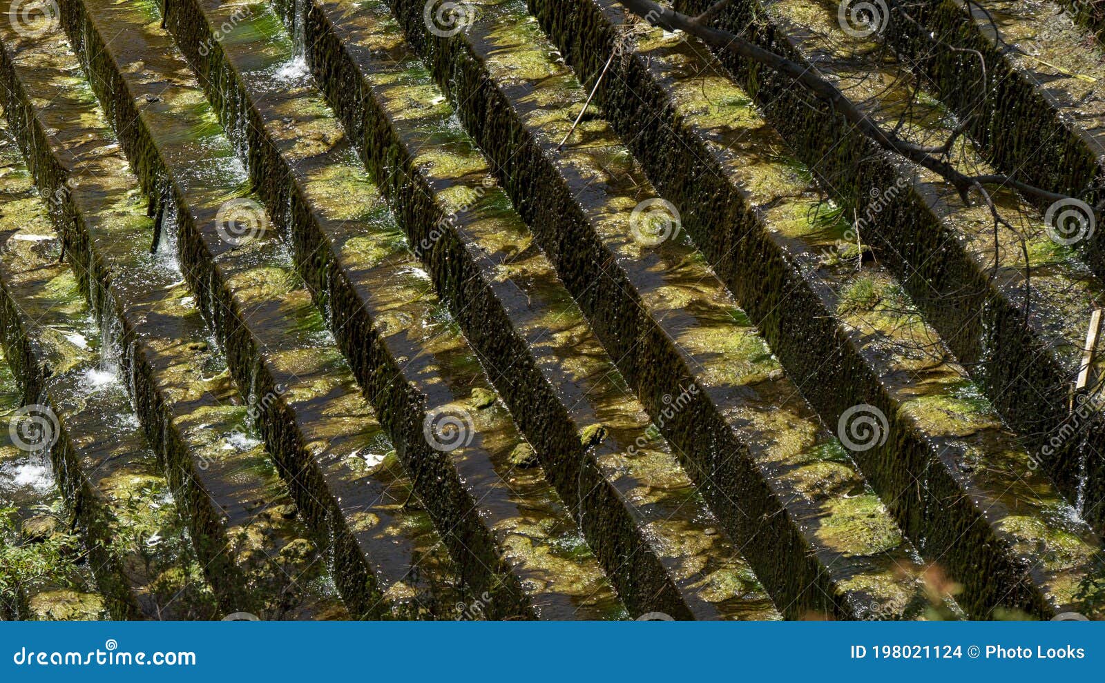 Wet Steps With Algae - Poor Indoor Environment - Haunted And Horror ...