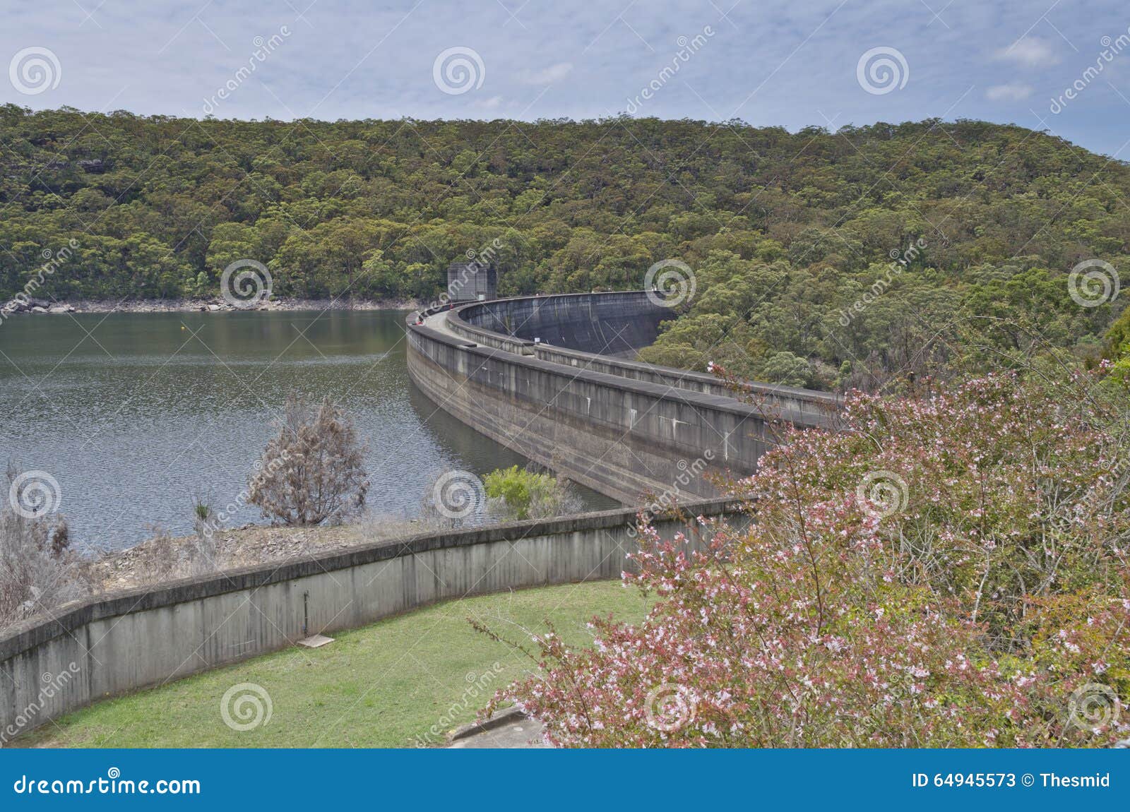 Dam Wall and Lake from Above Stock Image - Image of trees, side: 64945573