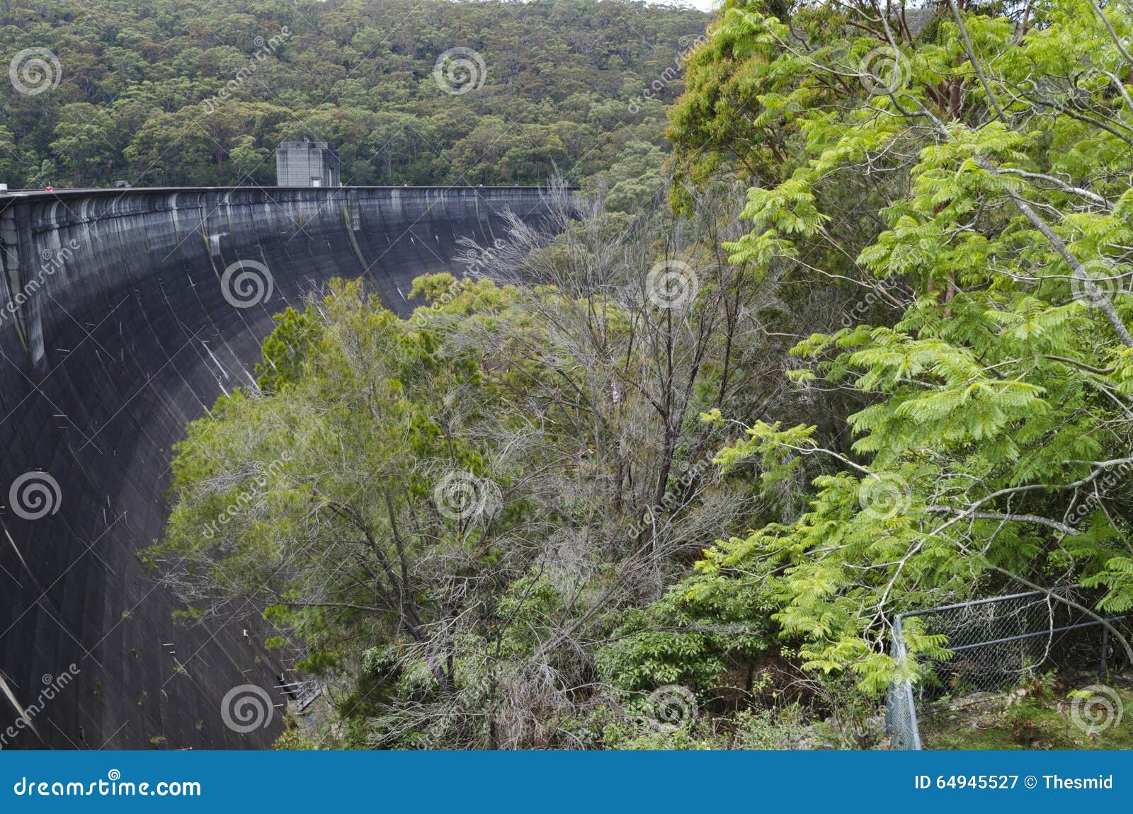 Dam Wall and Tree stock image. Image of strong, supply - 64945527