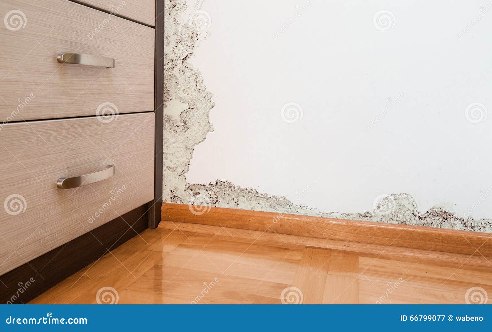Damage Caused by Damp on a Wall in Modern House Stock Image - Image of ...