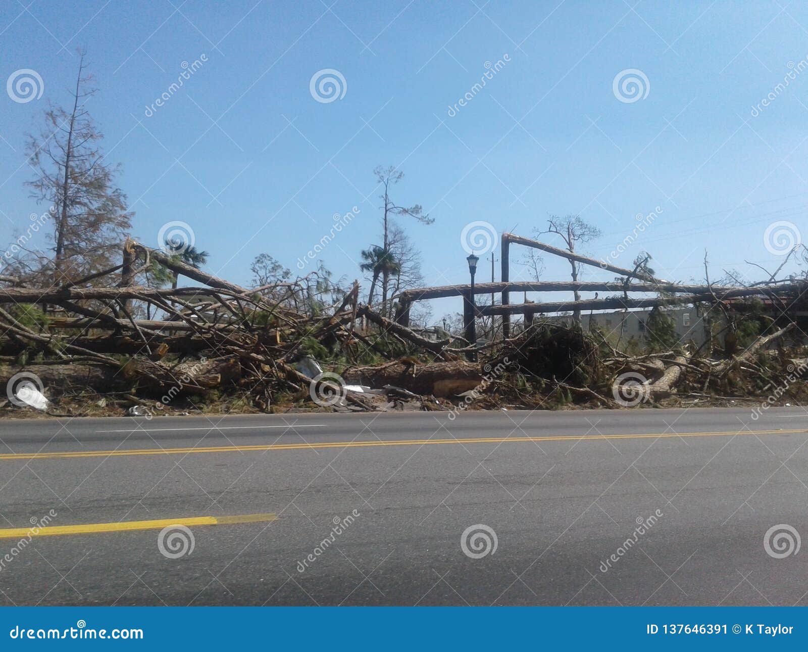 Damage from Hurricane Michael Stock Image - Image of aftermath, florida ...