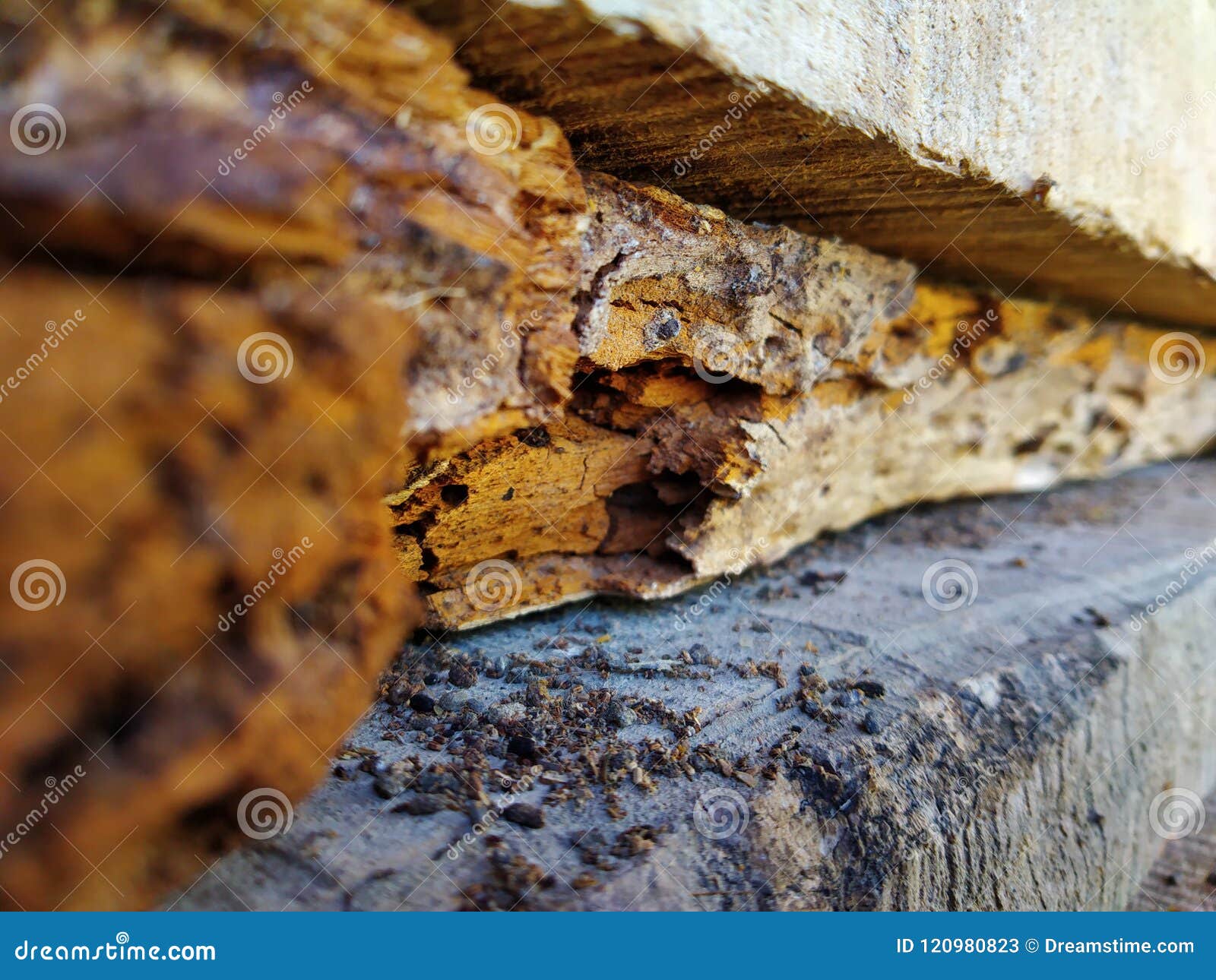 Damage wood stock image. Image of letest, damage, wood - 120980823