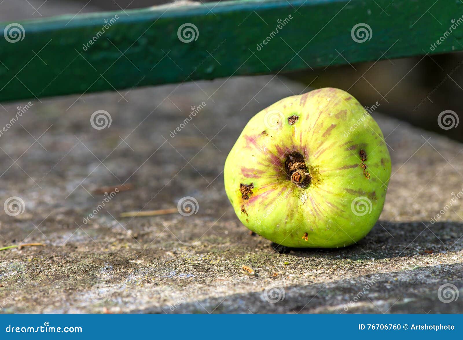 Damaged apple stock photo. Image of harm, insect, organic - 76706760
