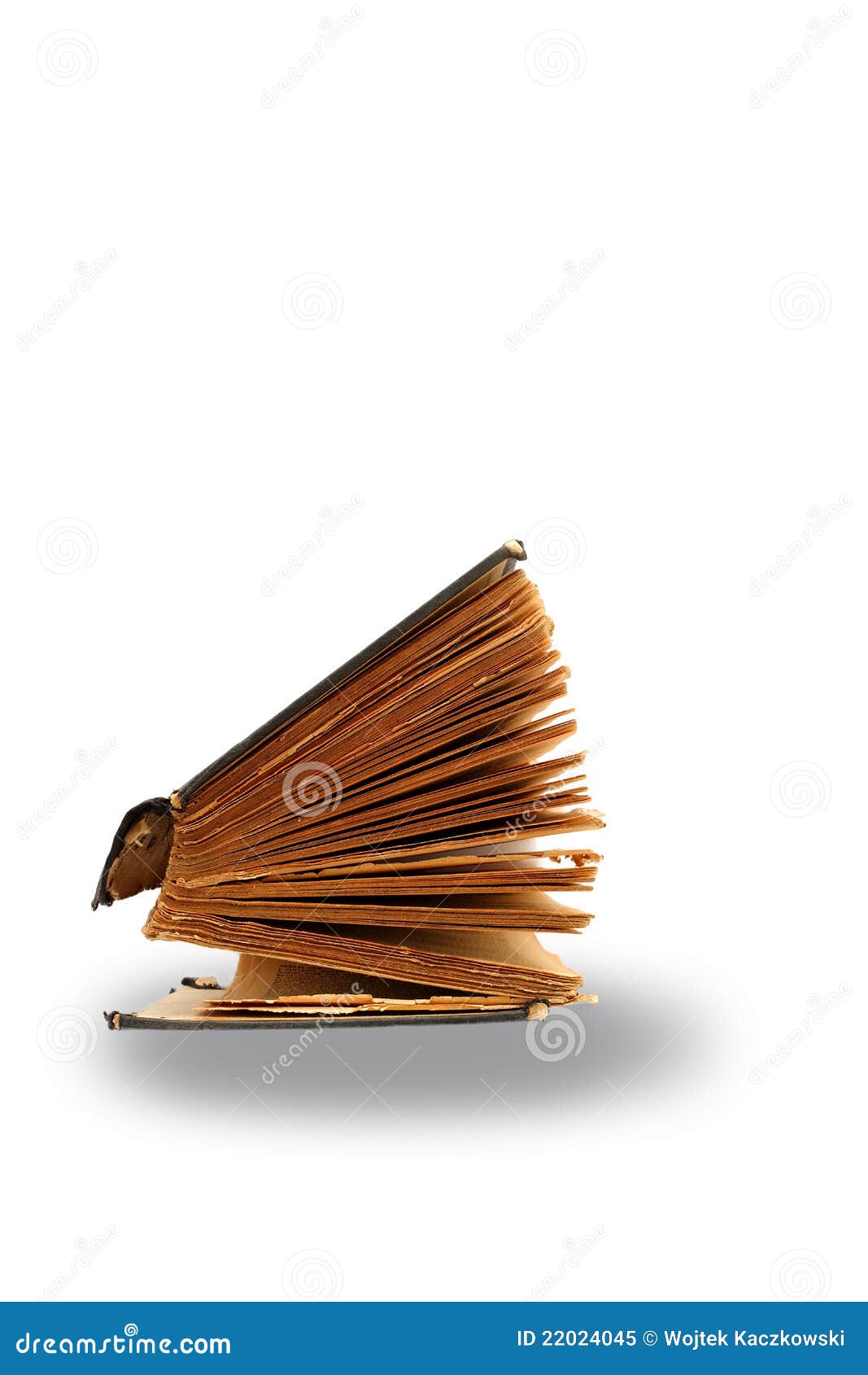 Damaged book stock image. Image of bookshelf, literature - 22024045