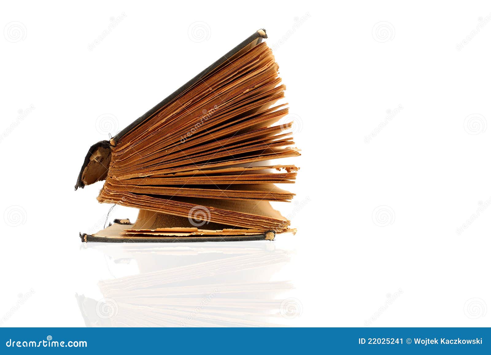 Damaged book stock image. Image of frame, marketing, advertising - 22025241