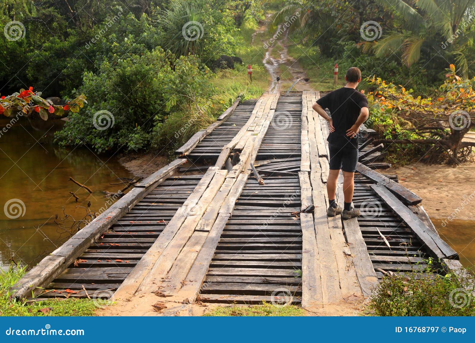 Checking damaged bridge stock image. Image of forest - 16768797