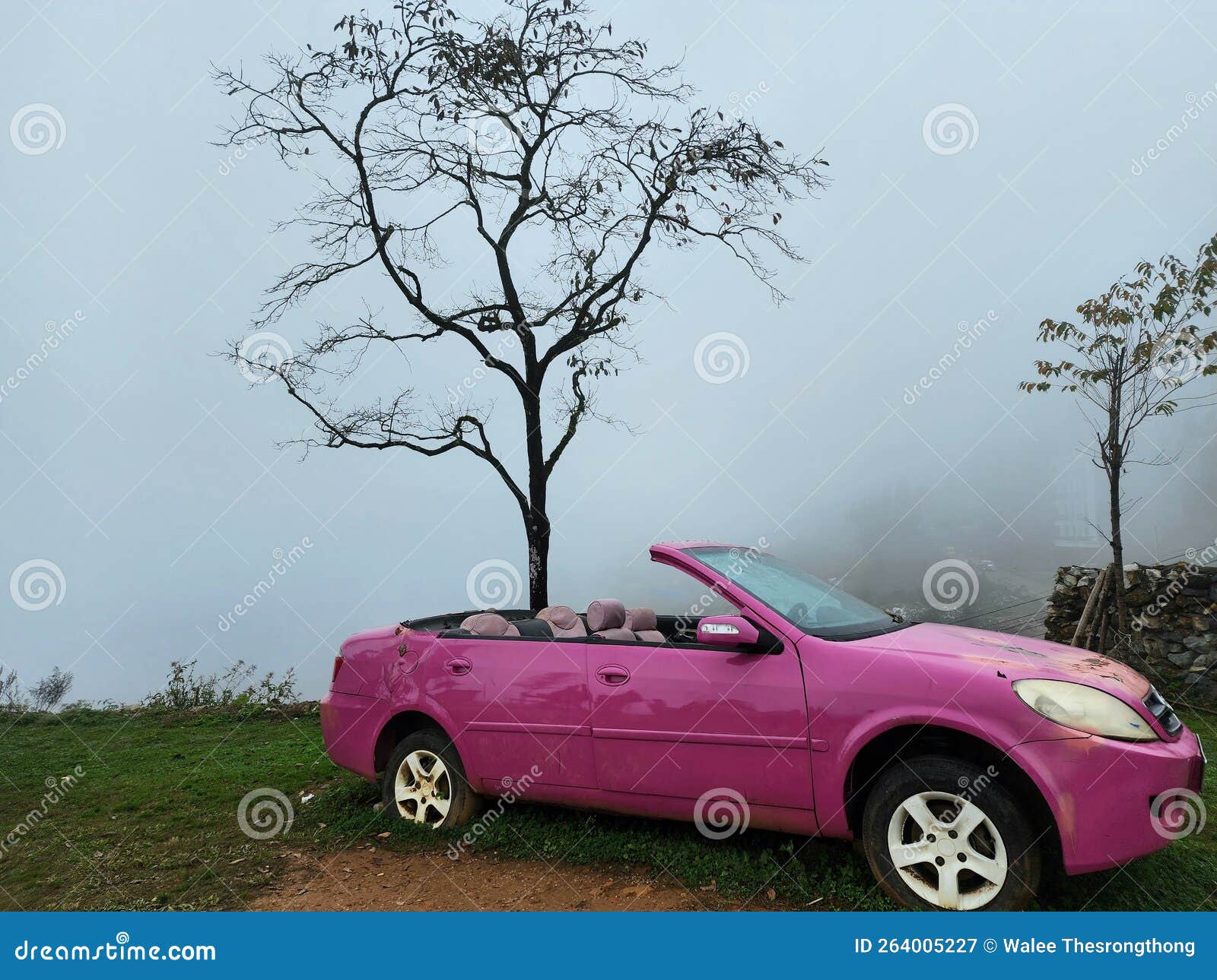 Damaged car stock image. Image of sedan, vehicle, pink - 264005227