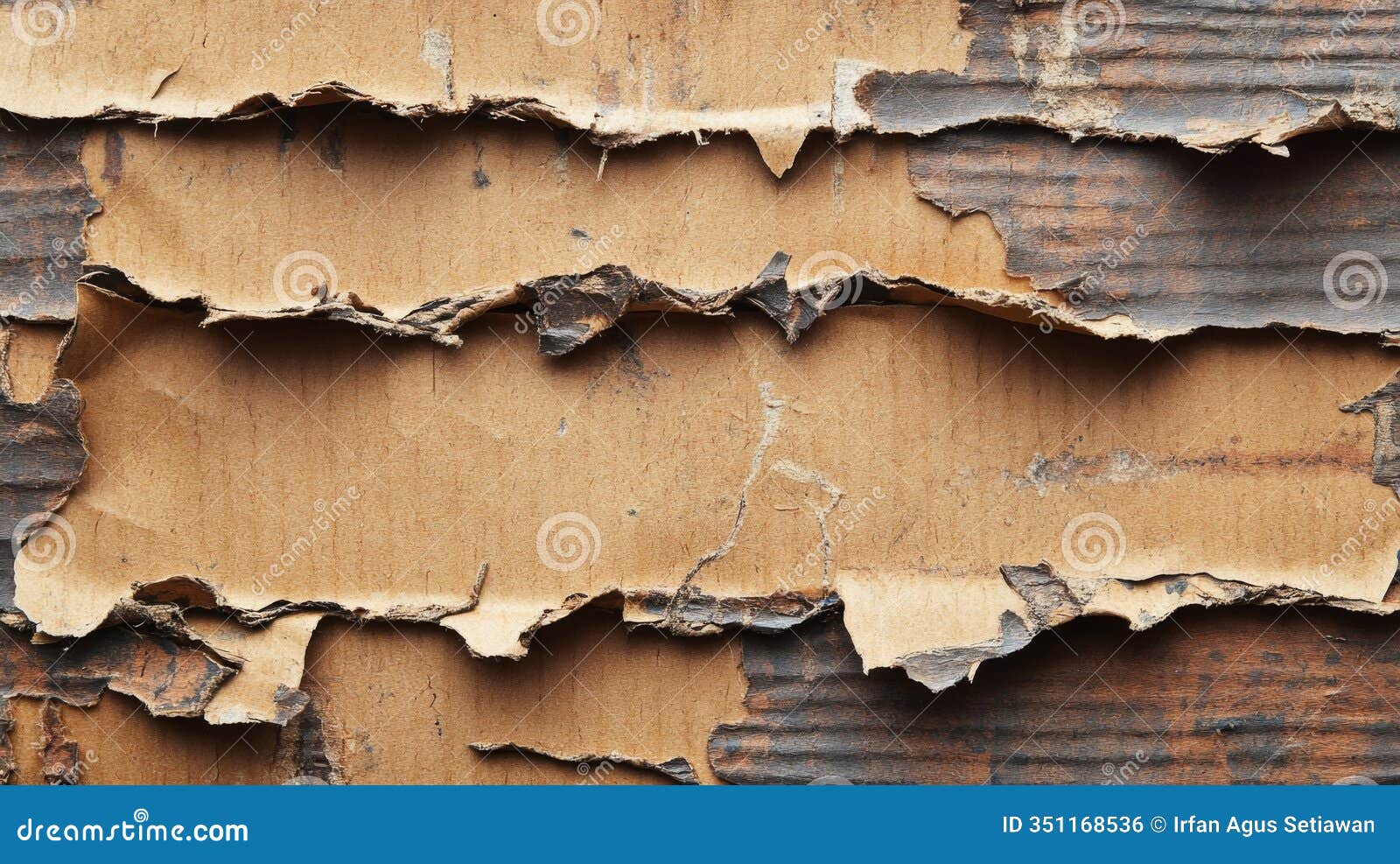 Damaged Cardboard Texture Showing Layers and Ripped Edges Stock ...