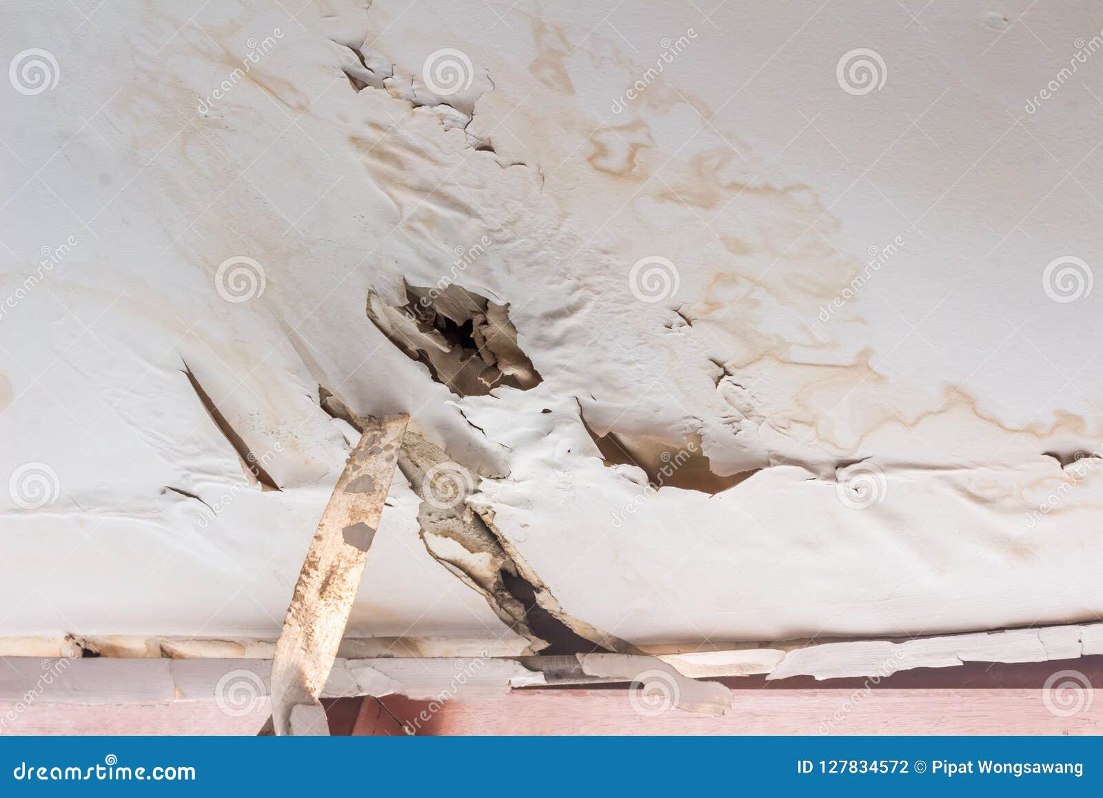 Damaged ceiling caused stock photo. Image of leak, design - 127834572