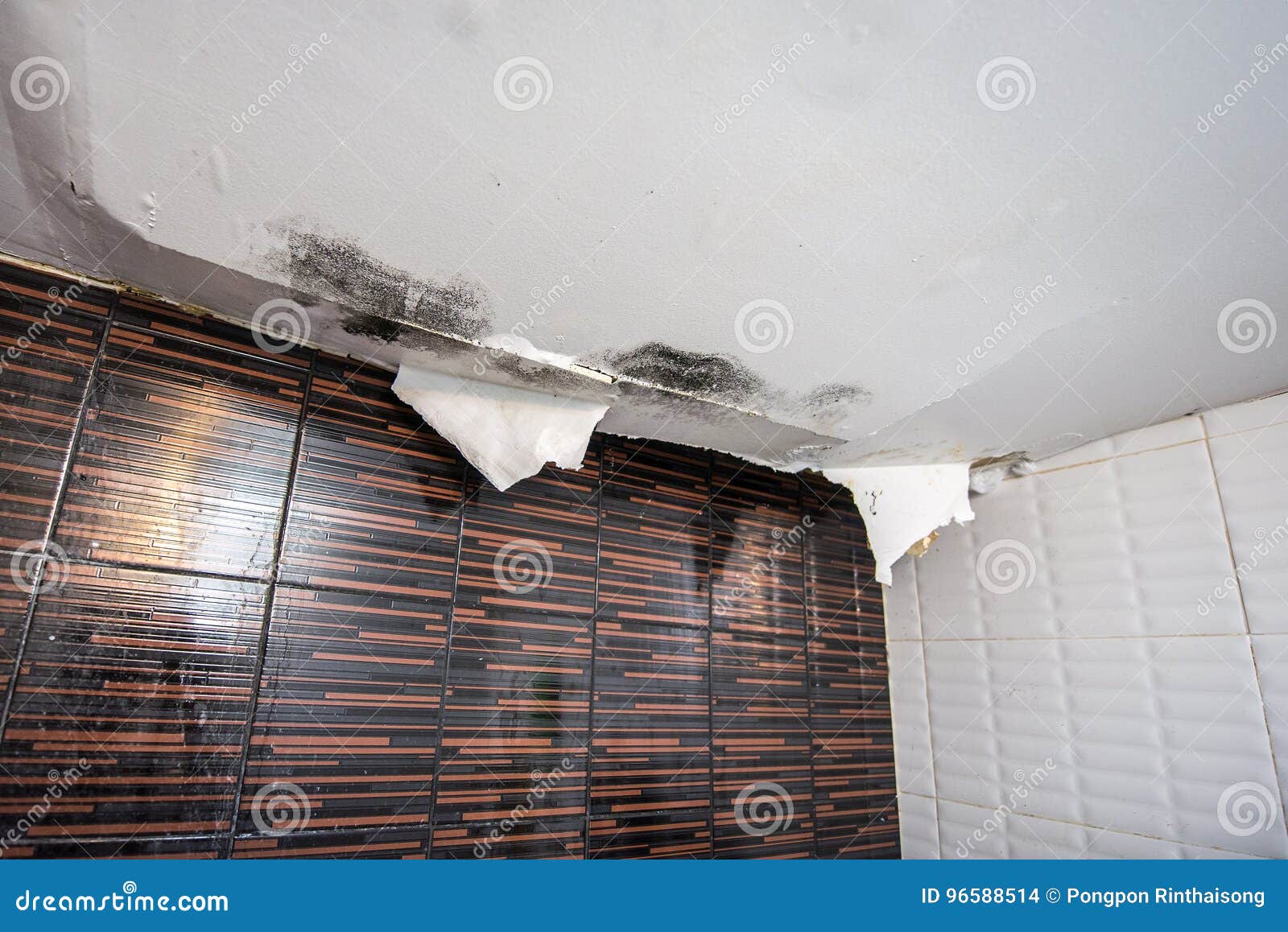 Damaged ceiling stock photo. Image of repair, insurance - 96588514