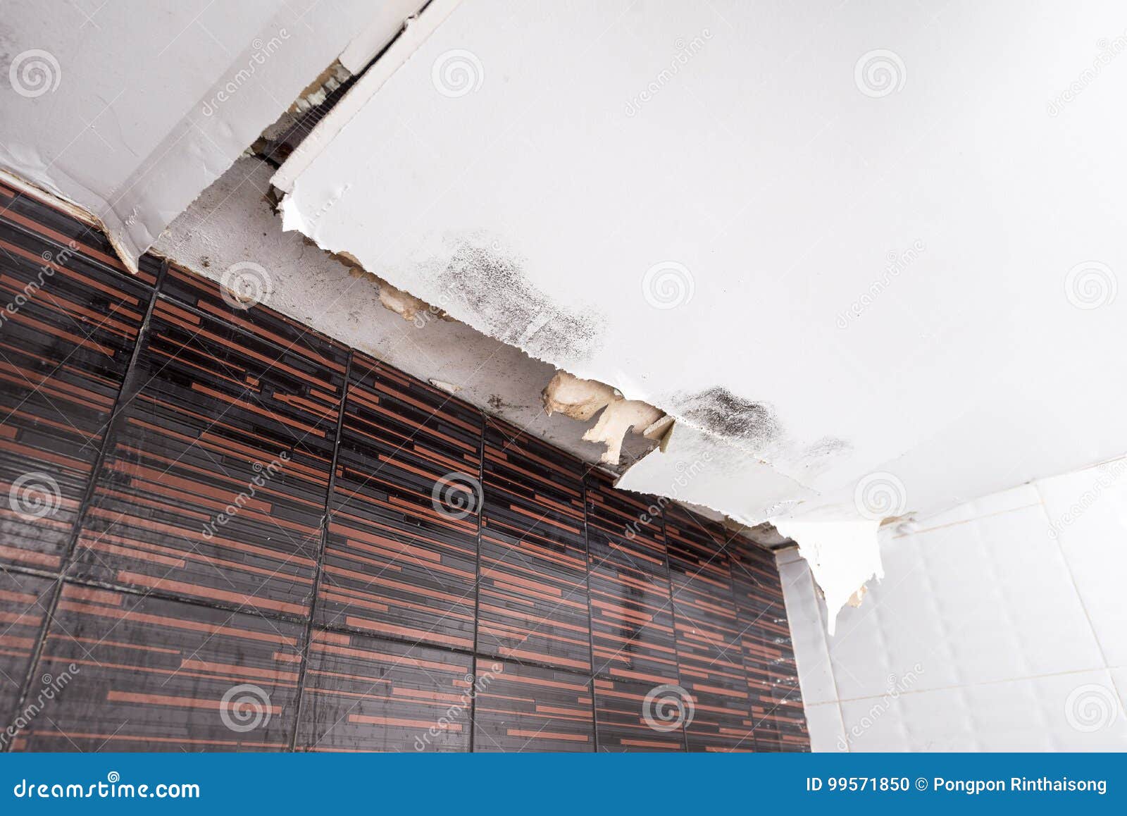 Damaged Ceiling from Water Leak Stock Photo - Image of leakage ...