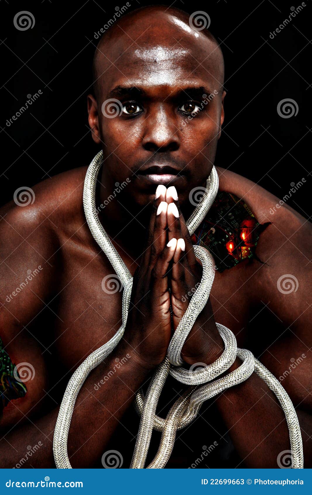 Evil Cyborg Robot Dog Isolated Royalty-Free Stock Photo | CartoonDealer ...