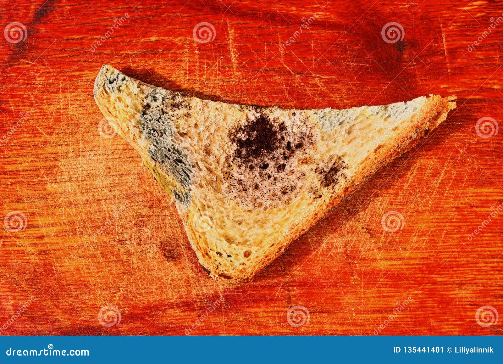 Damaged Dried Bread Covered with Mold Stock Image - Image of food ...