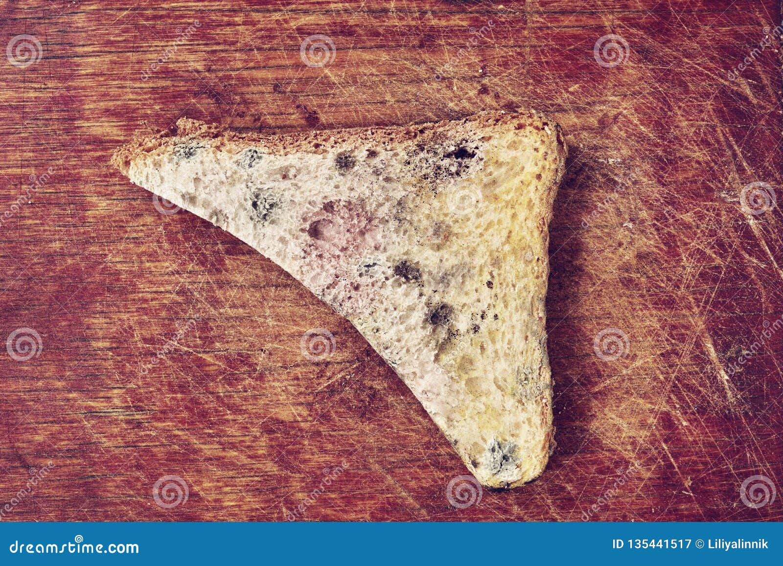 Damaged Dried Bread Covered with Mold Stock Image - Image of bacterium ...