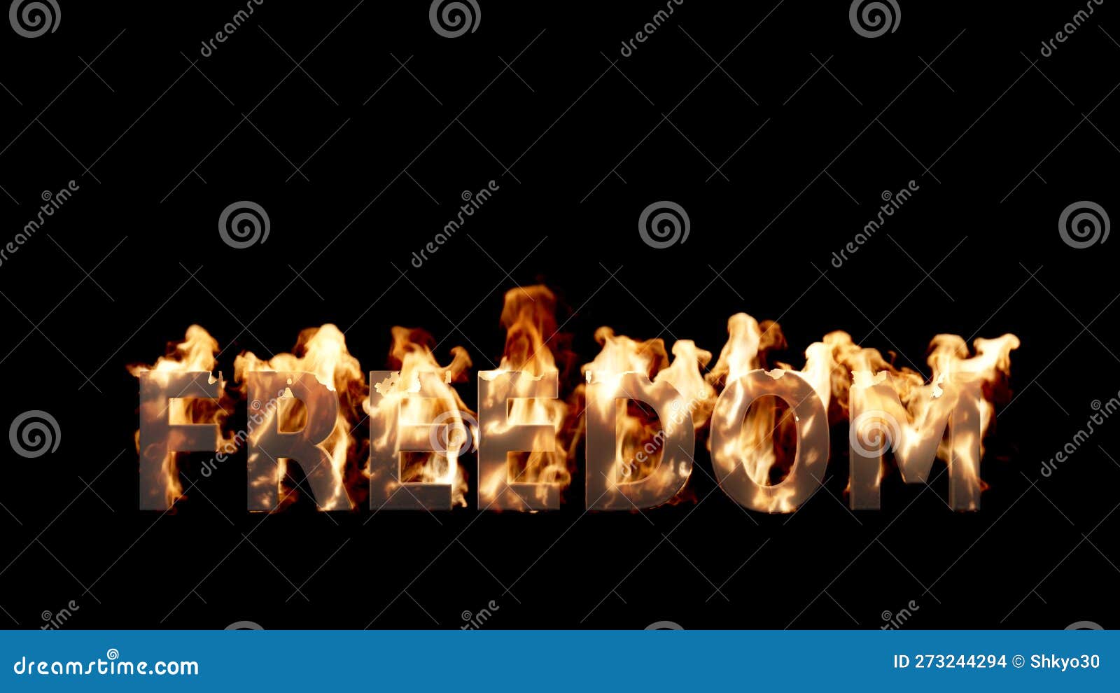 Damaged Freedom Word on Fire with Starting Flames on Black Stock ...