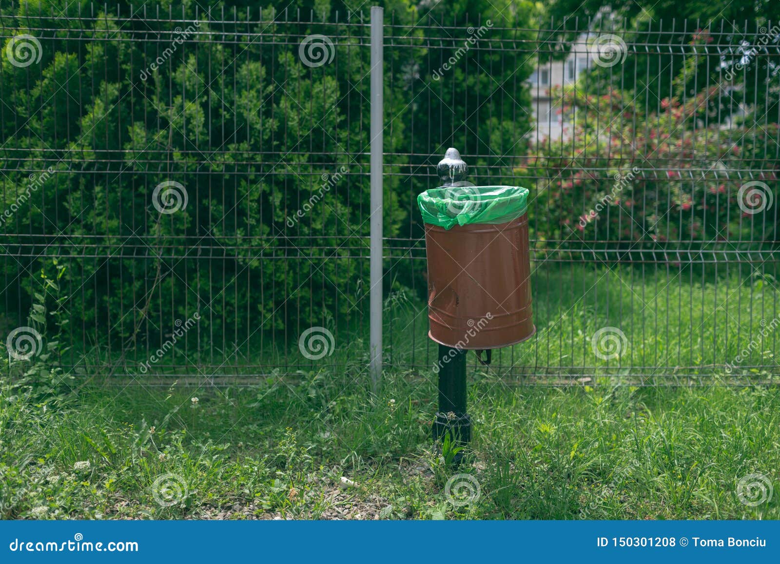 Damaged Garbage Bin Inside Public Park. Environmental Concept Stock ...