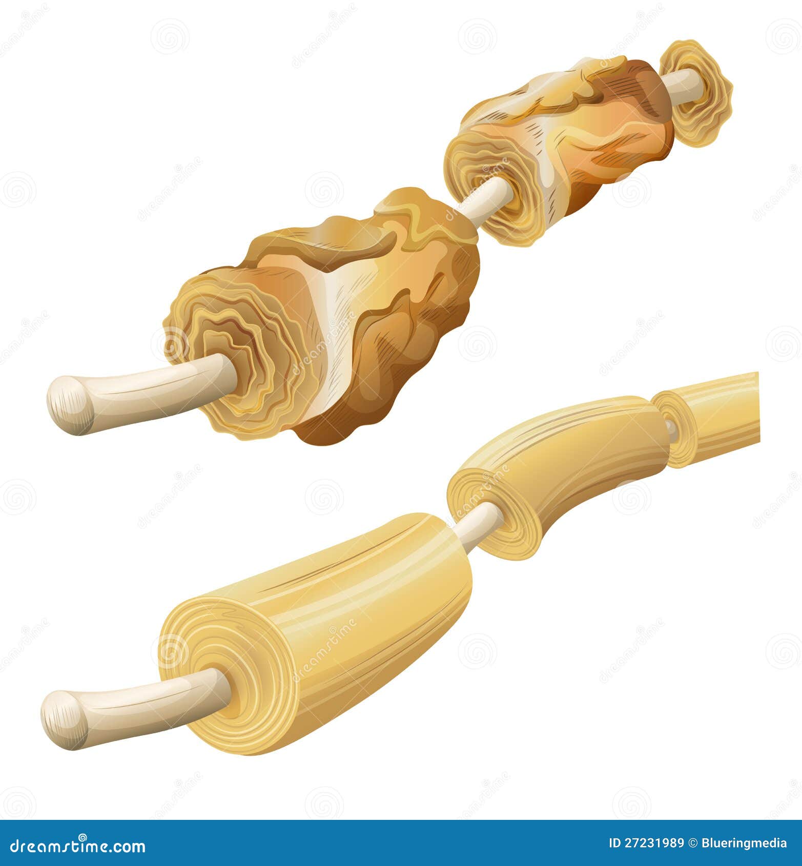 Damaged and Healthy Myelin Sheaths Stock Illustration - Illustration of ...