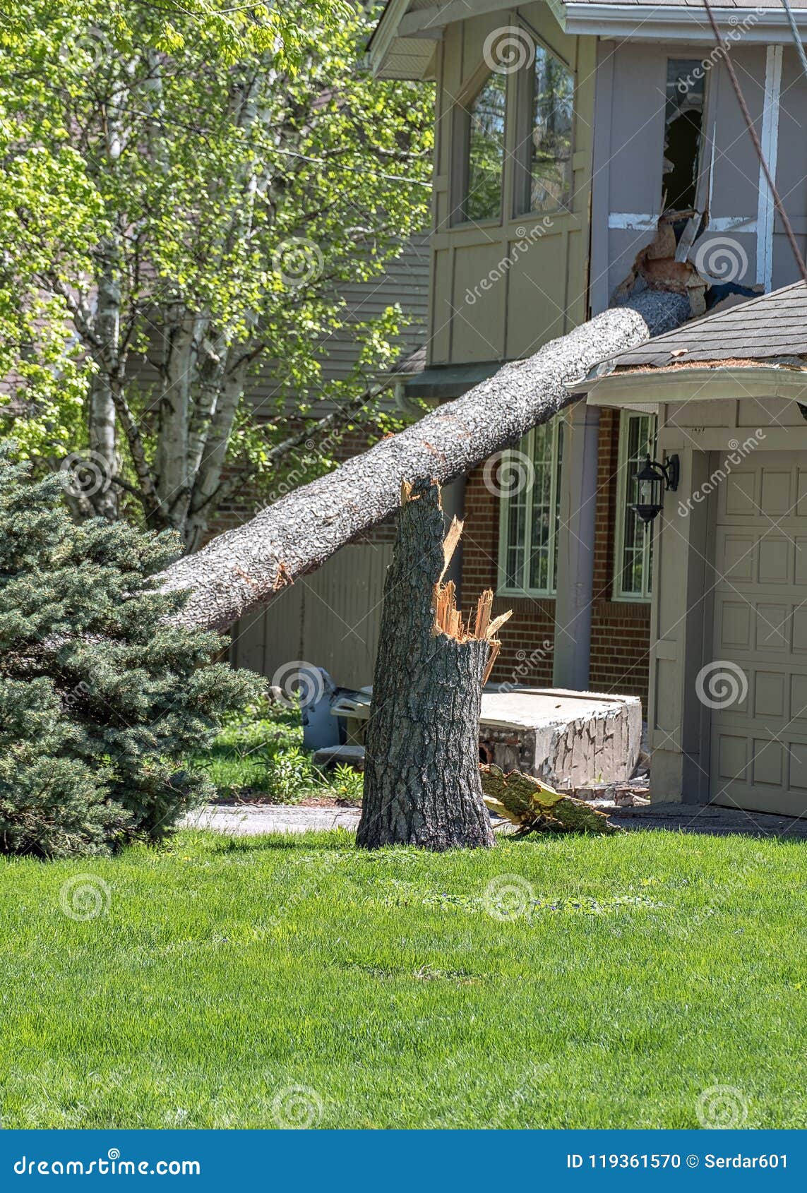 Damaged House stock photo. Image of tree, frame, wooden - 119361570