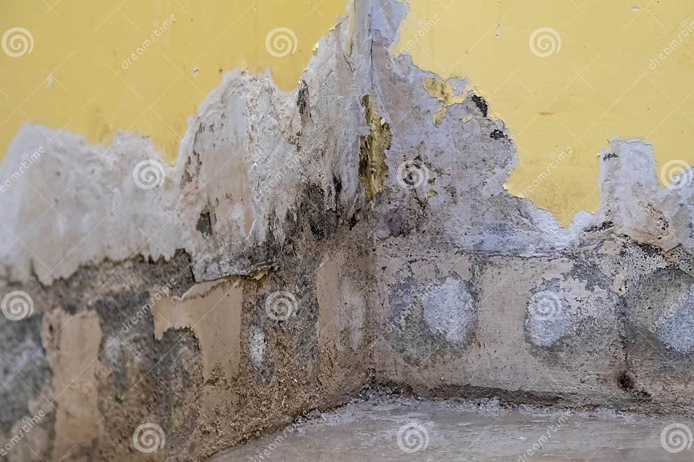 A Damaged Interior Wall Corner with Peeling Paint and Visible ...