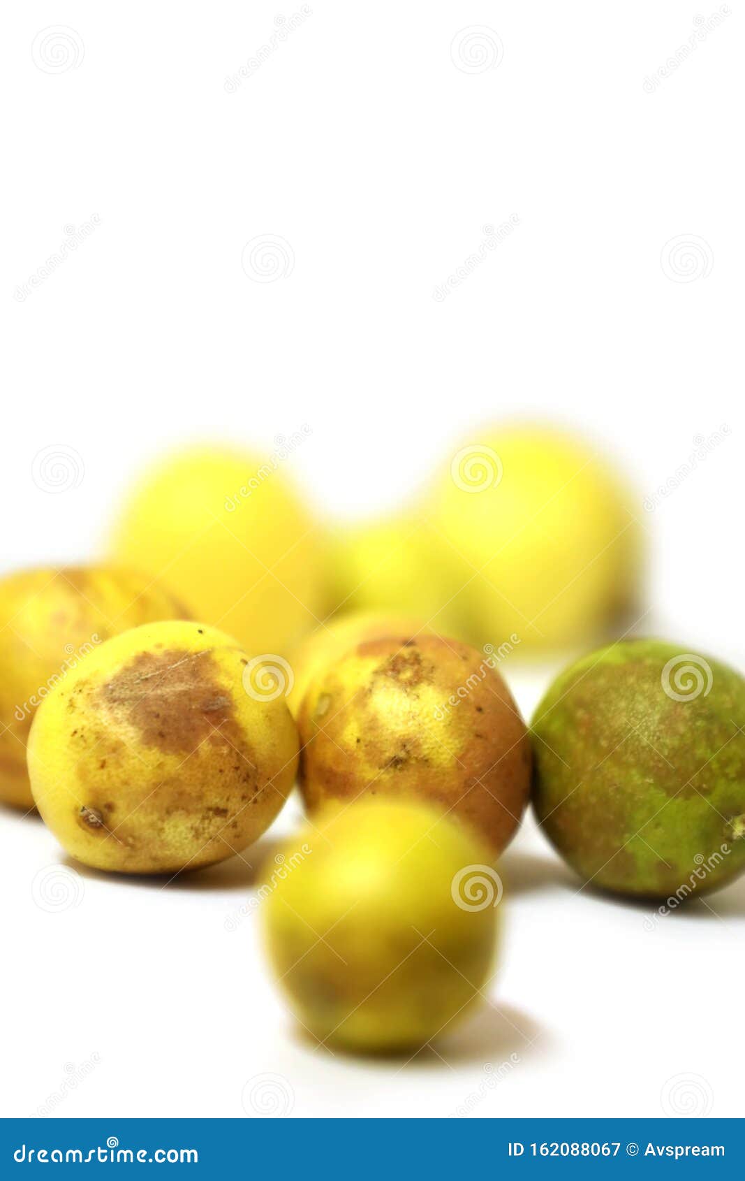 Damaged Lemon Isolated on a White Background Stock Image - Image of ...