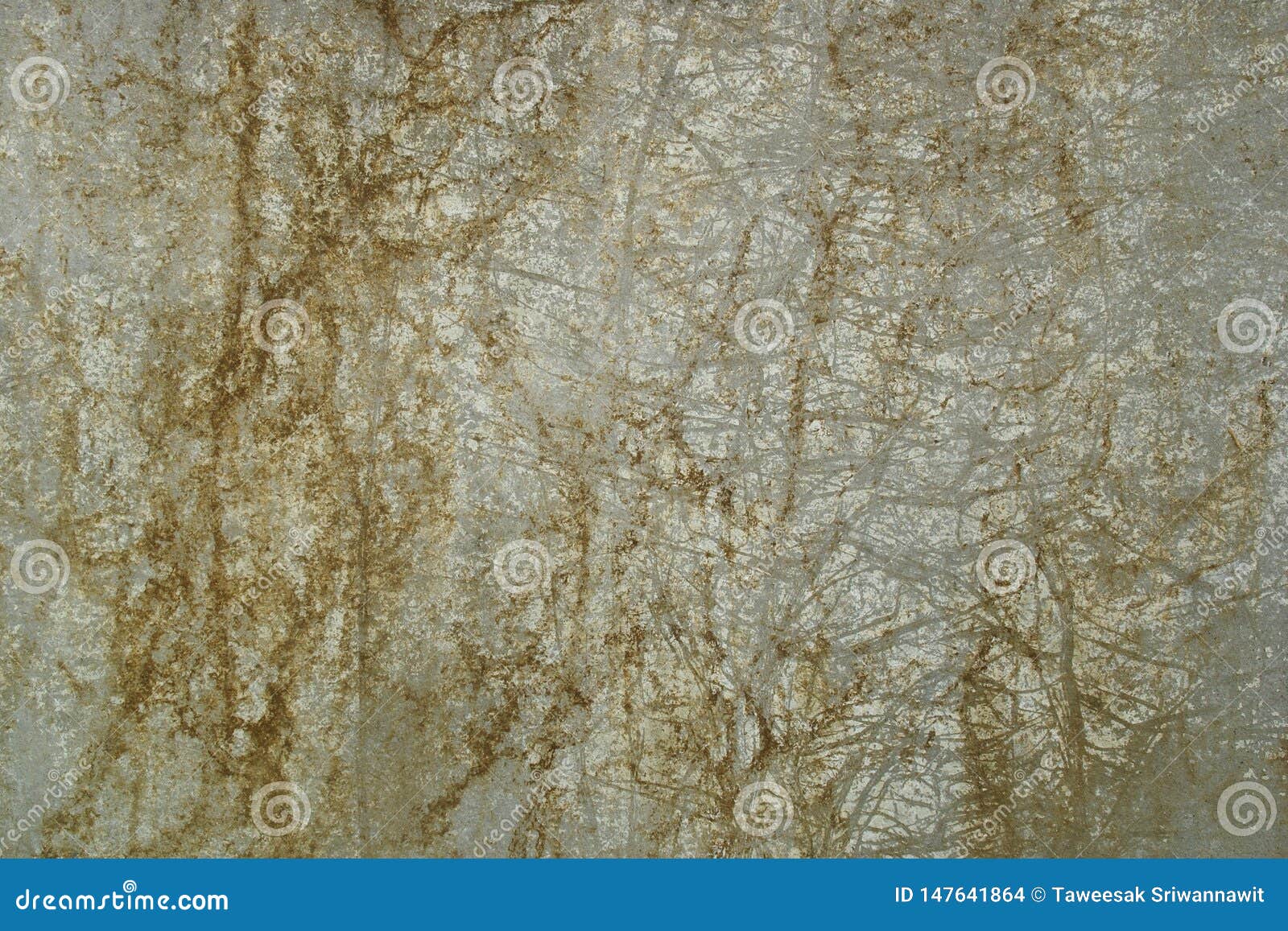 Damaged Plaster Wall from Creeping Roots Texture Stock Photo - Image of ...