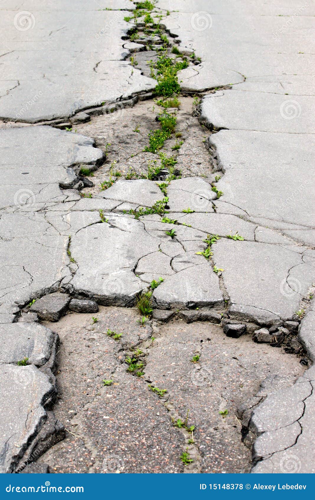 Damaged Road Close-up stock photo. Image of green, gray - 15148378