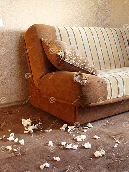 Damaged sofa stock photo. Image of plastic, brown, chaos - 17300612