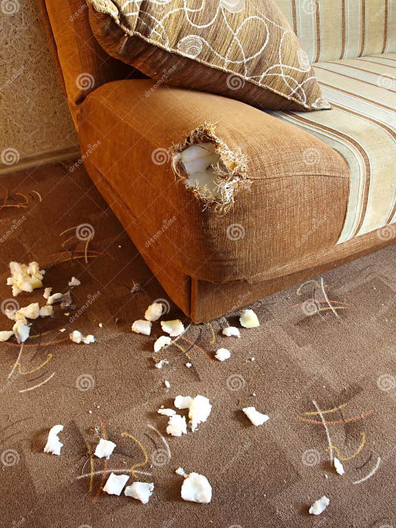 Damaged sofa 2 stock image. Image of sofa, interior, brown - 17300643