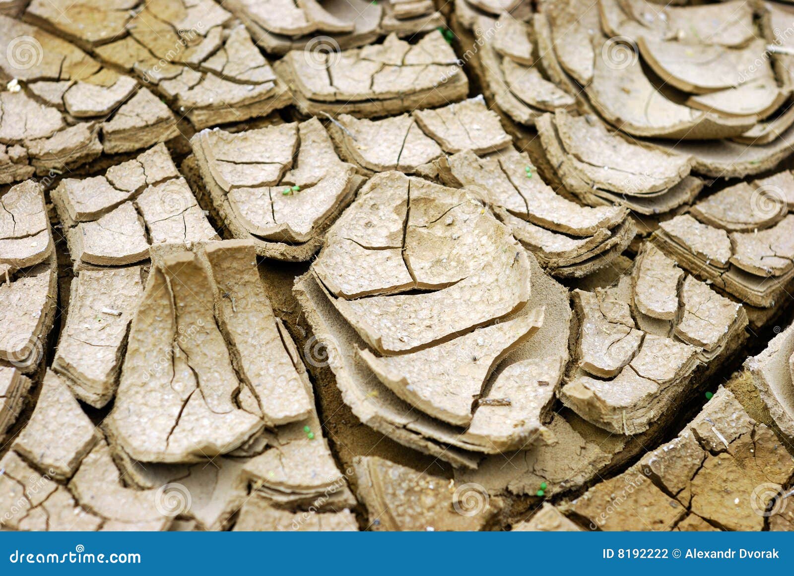 Damaged soil stock photo. Image of conservation, dirt - 8192222