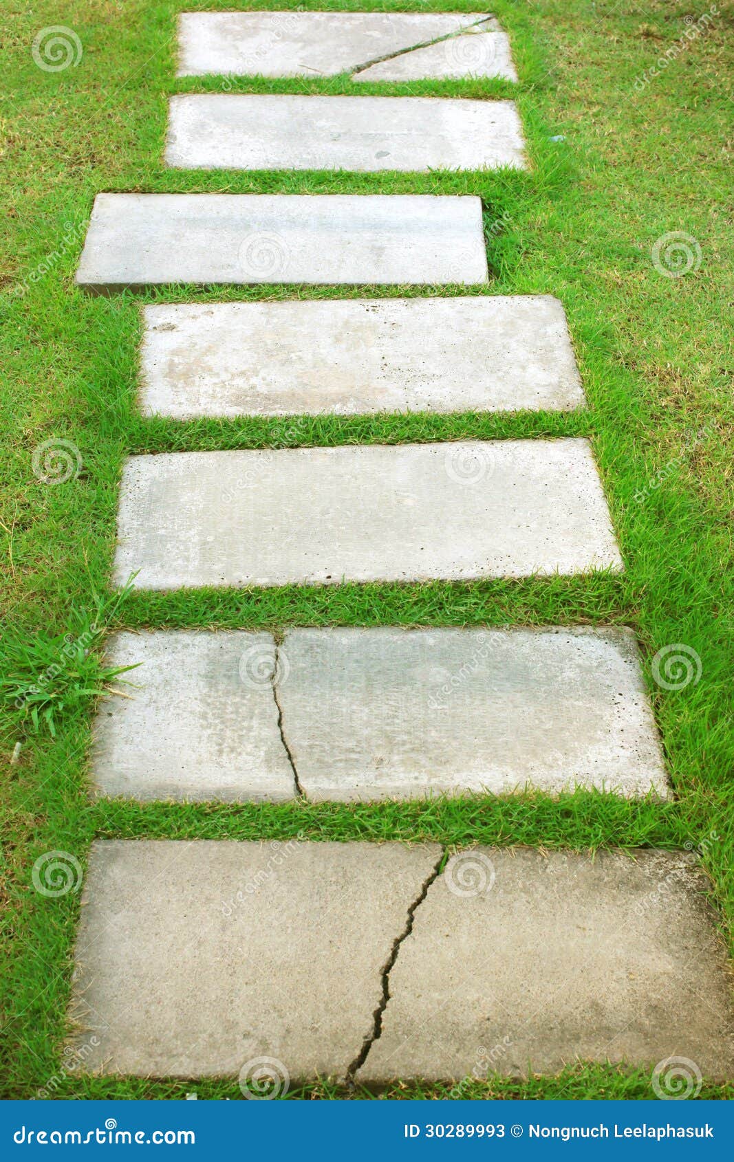 Damaged Stone Walkway in Garden Stock Image - Image of break, footpath ...