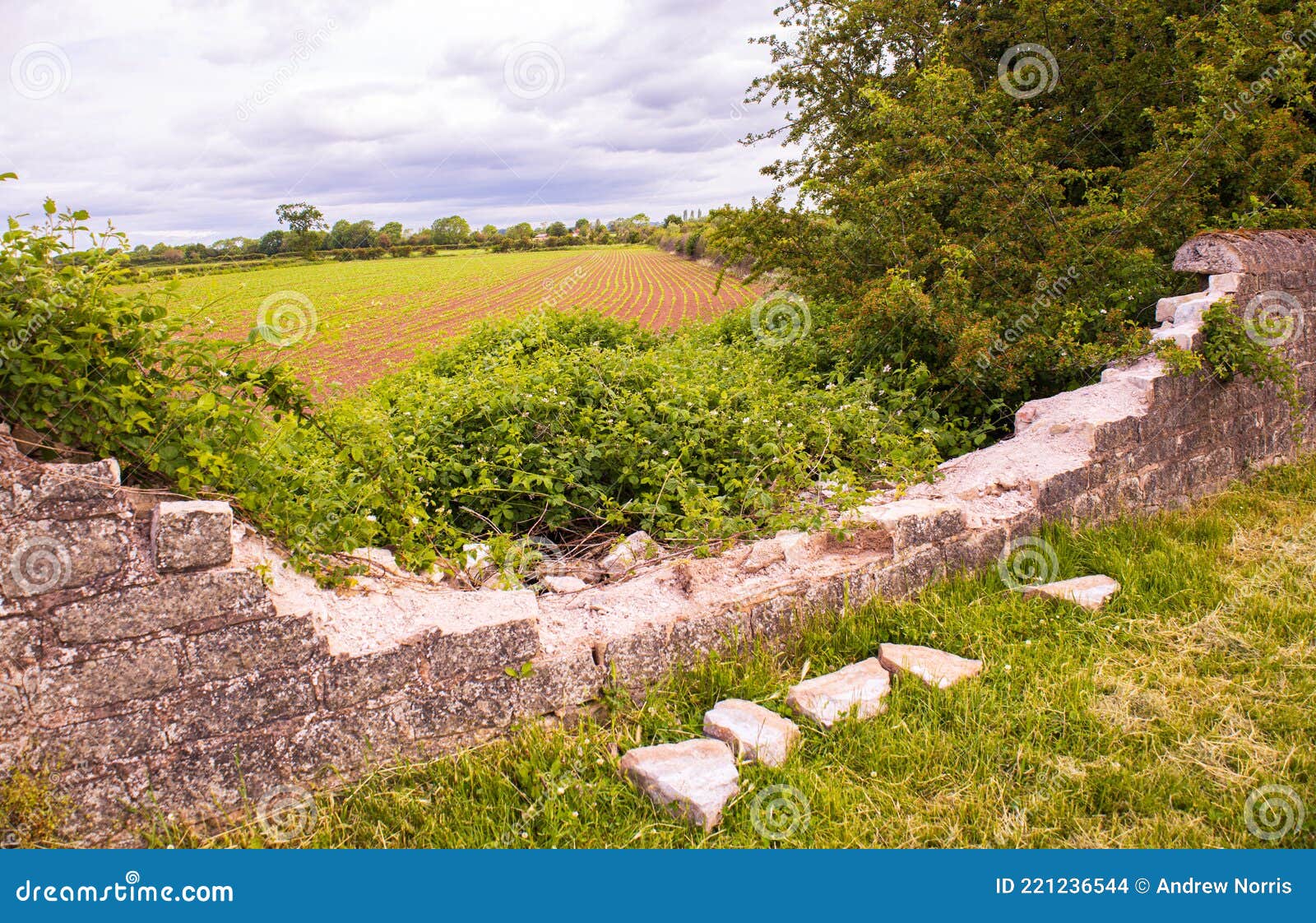 Damaged Stone Wall stock photo. Image of stone, stones - 221236544