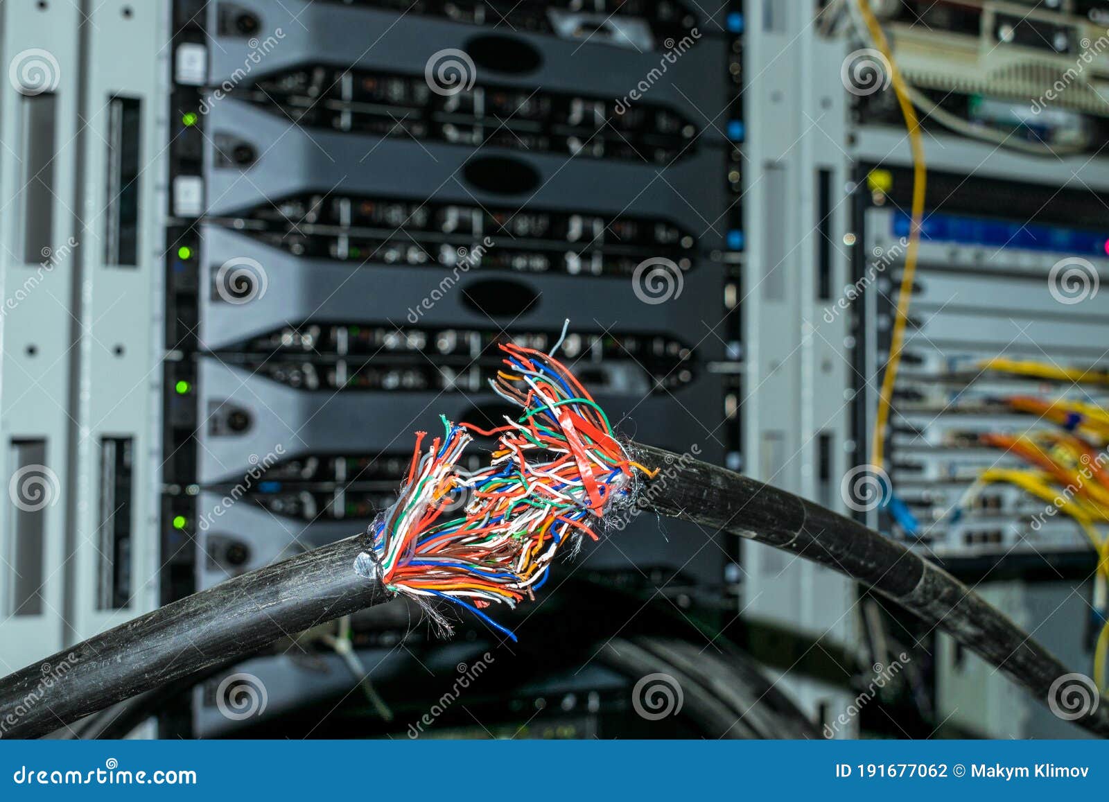 Two Damaged Stranded Wires Are In The Hands Of A Network Engineer.The ...