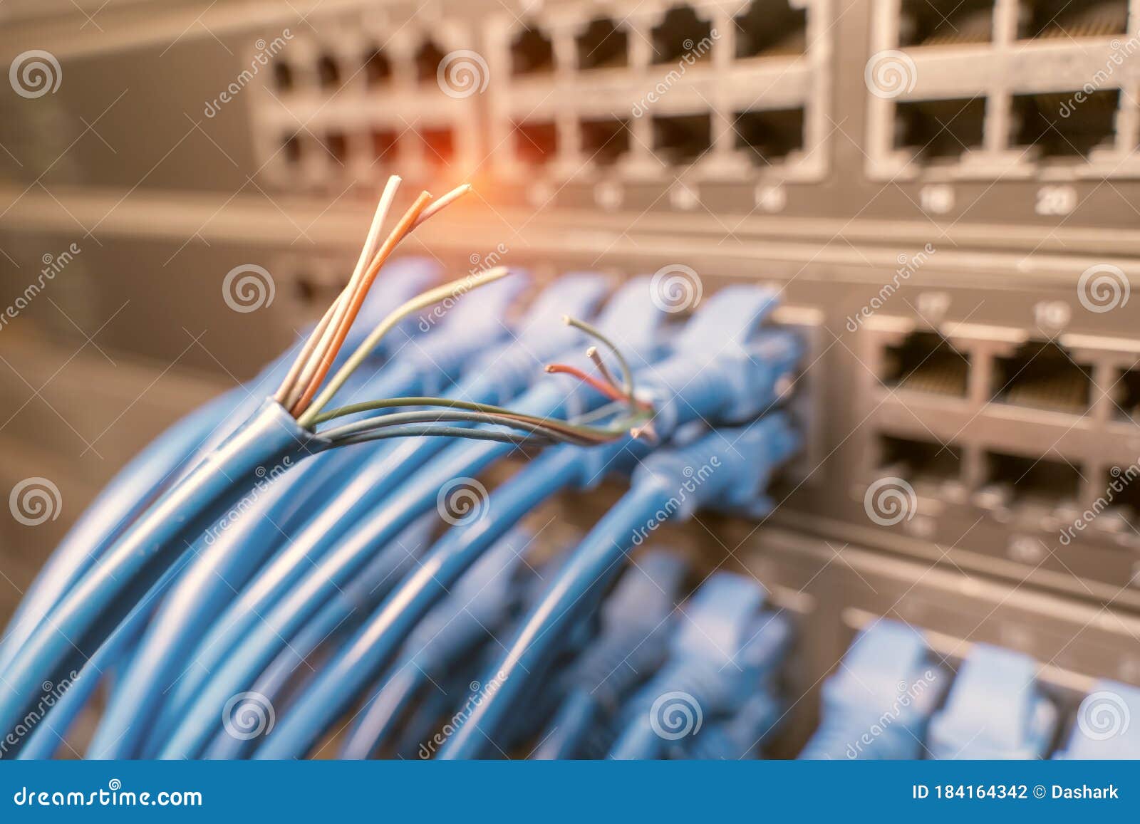 Two Damaged Stranded Wires Are In The Hands Of A Network Engineer.The ...