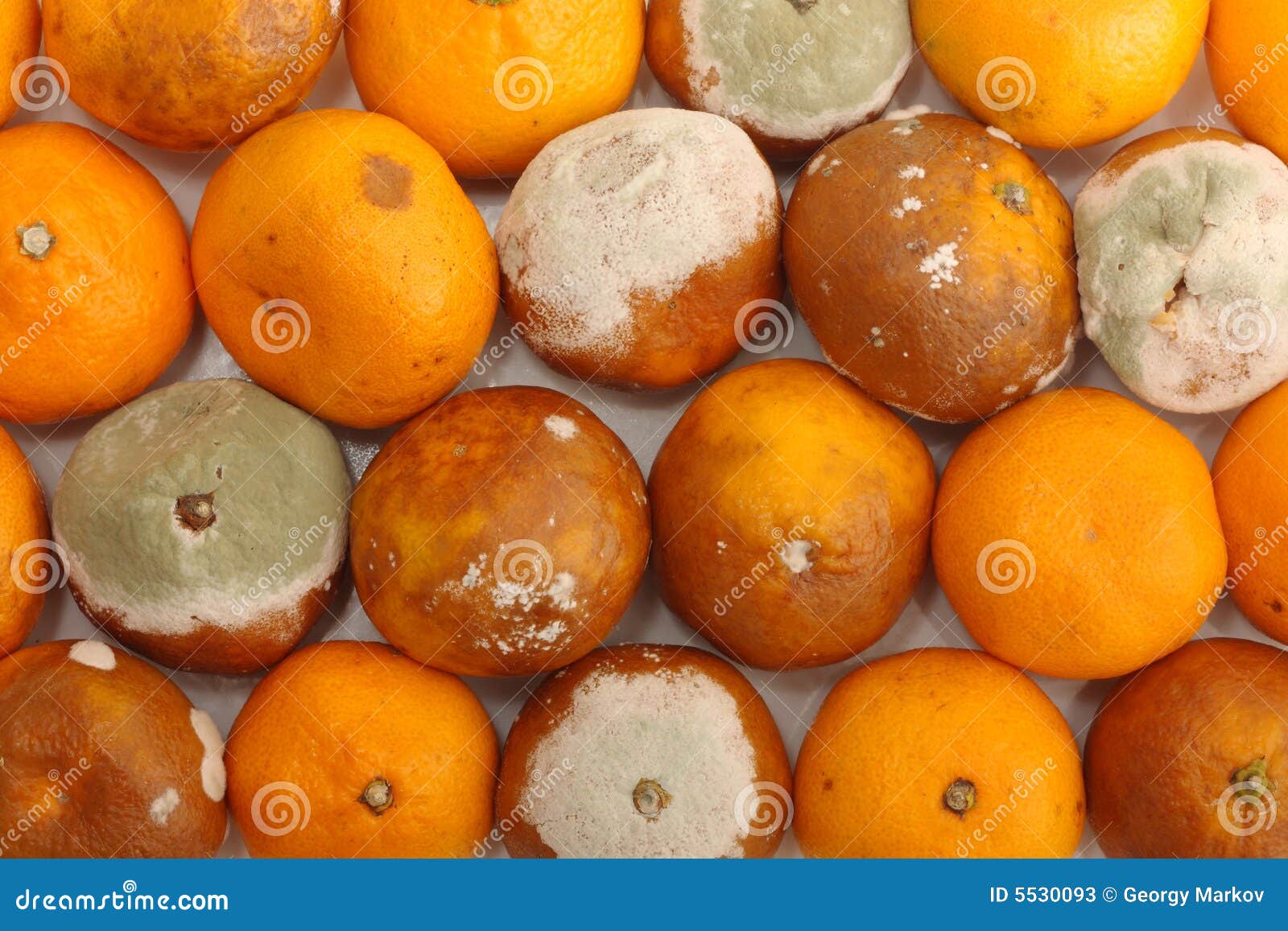 Damaged tangerine fruits stock image. Image of blemish - 5530093