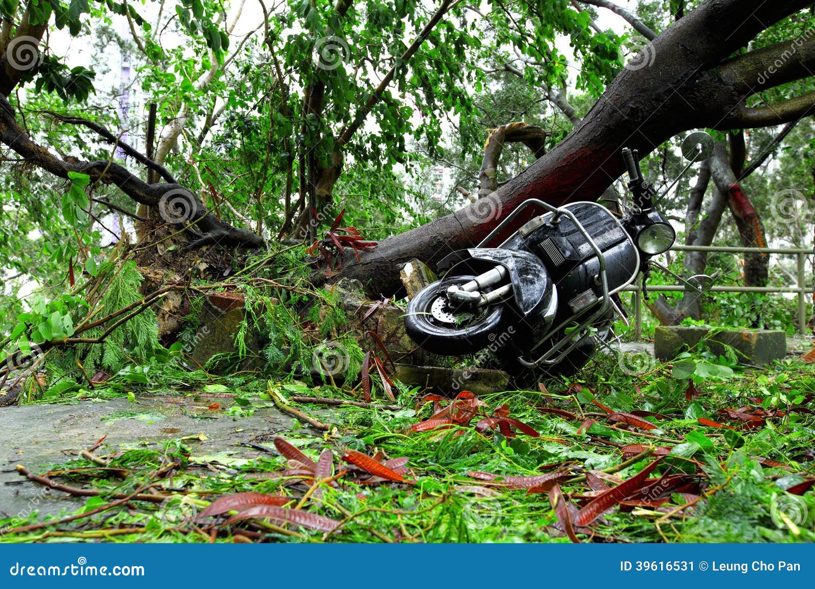 Damaged after Typhoon Attack Stock Image - Image of broken, catastrophe ...