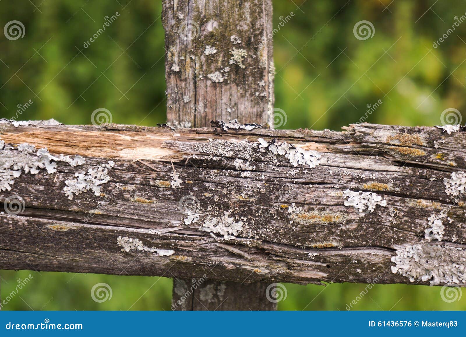 Damaged wood stock photo. Image of plate, wooden, carpentry - 61436576