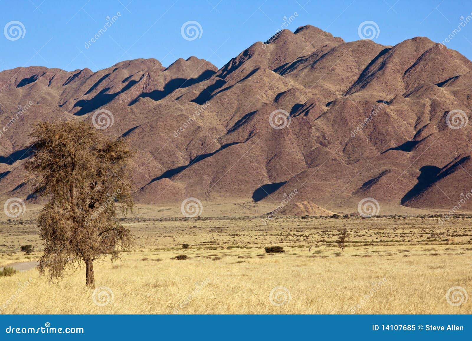 Damaraland in Namibia stock image. Image of africa, adventure - 14107685