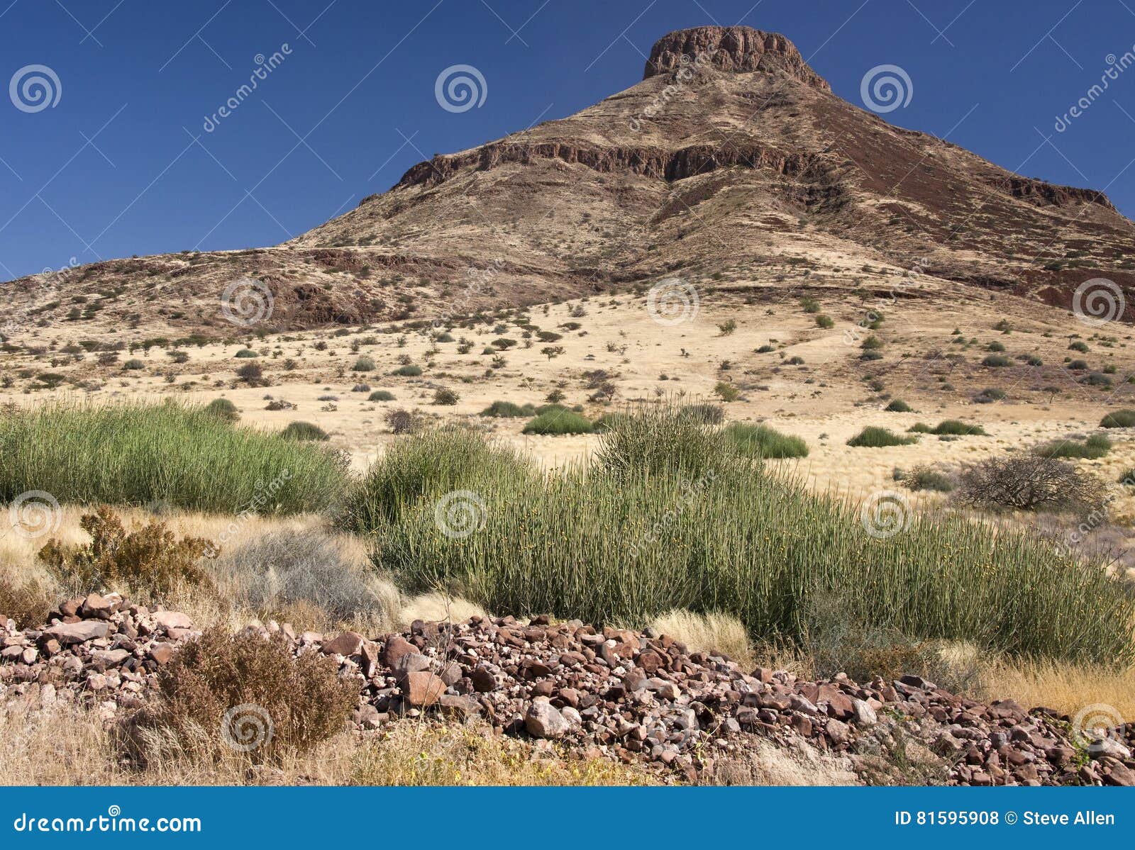 Damaraland Nel Namibia Del Nord Fotografia Stock - Immagine di corsa ...